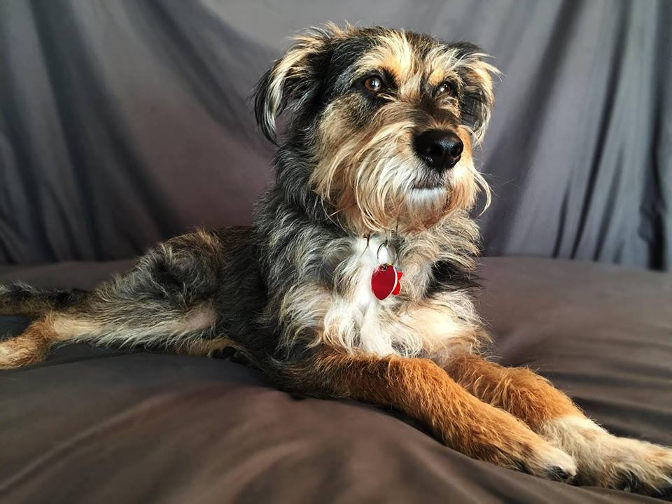 HSNT | Malcolm's Story